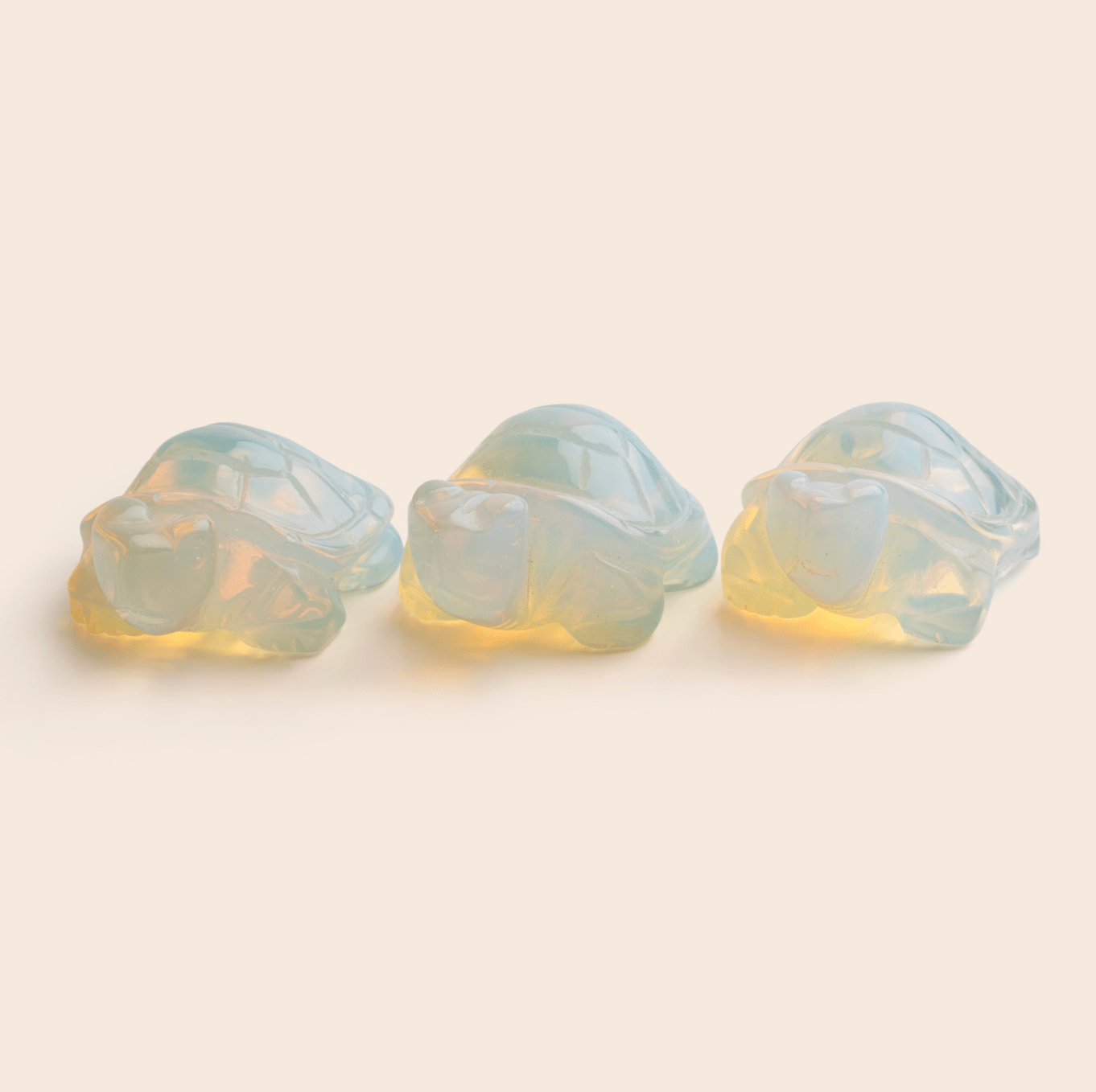 Crystal Turtle – Gemlet